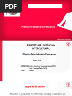 Informe 100 Plantas Medicinales Selva Peruana | PDF