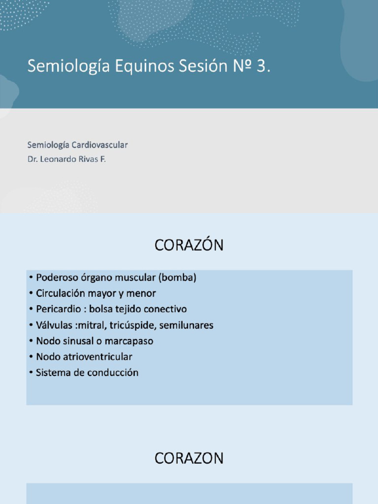 Sistema circulatorio y digestivo_250513_221049 | PDF