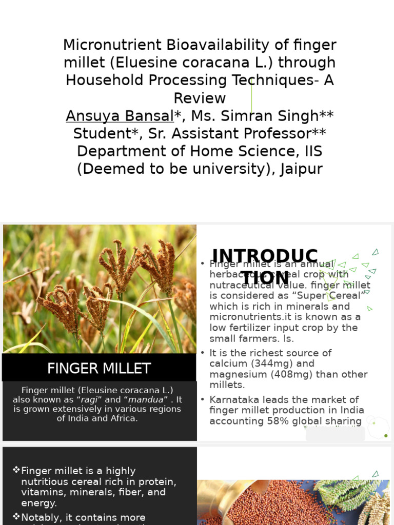 Micronutrient Bioavailability of Finger Millet | PDF | Nutrition | Diet & Nutrition