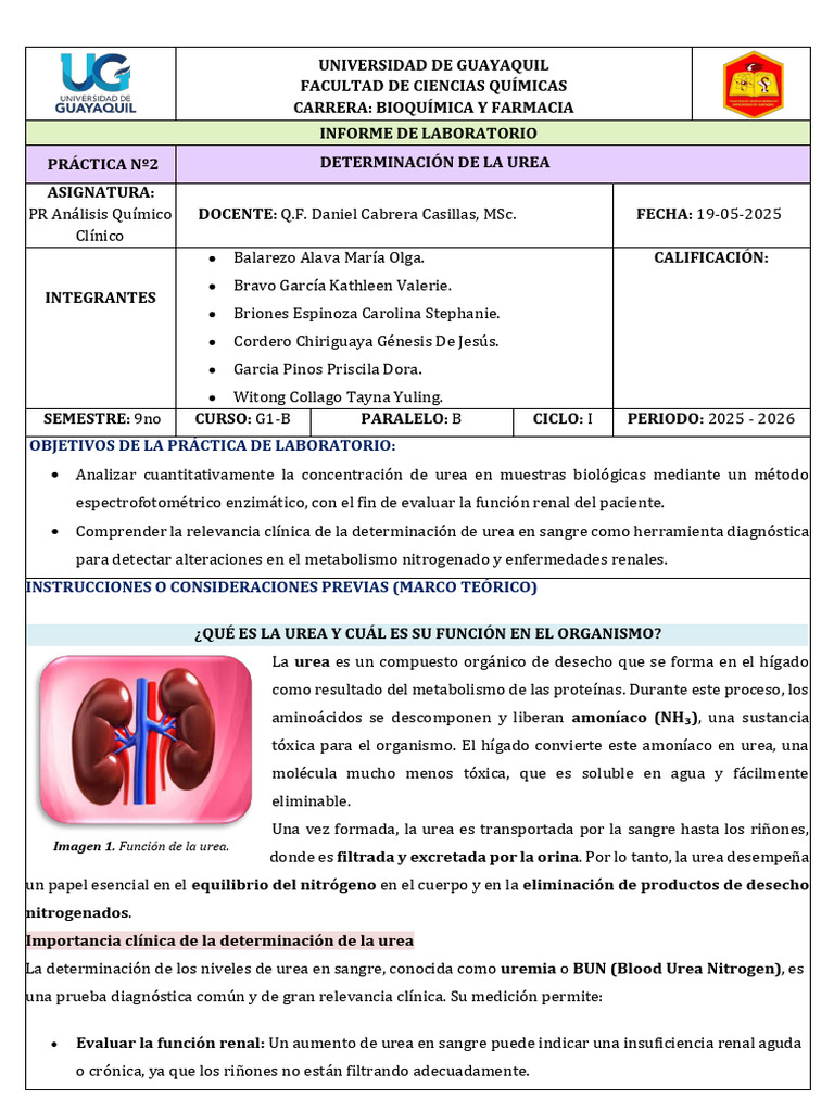 Análisis de Urea en Muestras Biológicas | PDF | Orina | Riñón