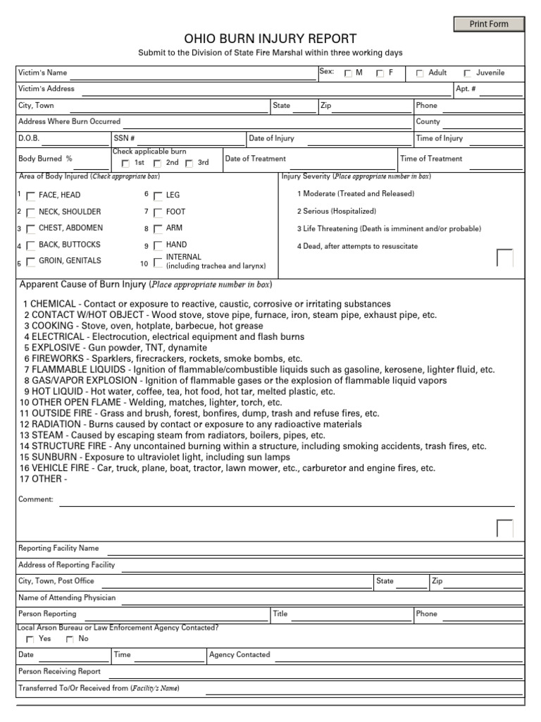 fire_BurnInjuryReport | PDF | Burn