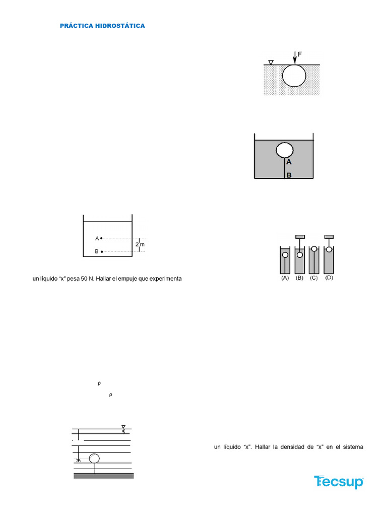 PRÁCTICA HIDROSTÁTICA | PDF | Densidad | Líquidos