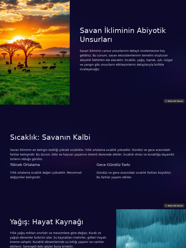 Savan Ikliminin Abiyotik Unsurlari | PDF