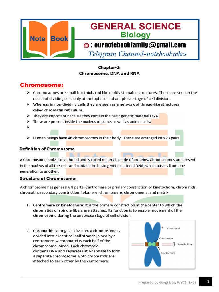 Chromosome, DNA and RNA - Note Book | PDF | Rna | Nucleotides