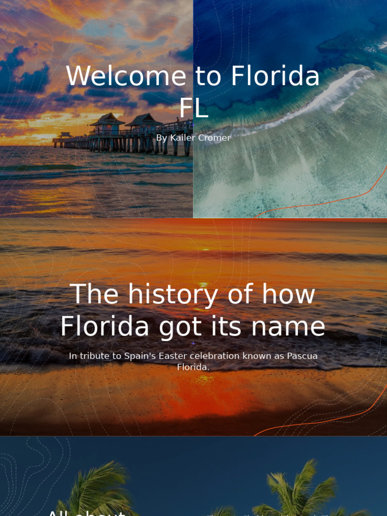 Florida: History, Facts, and Government | PDF | Florida