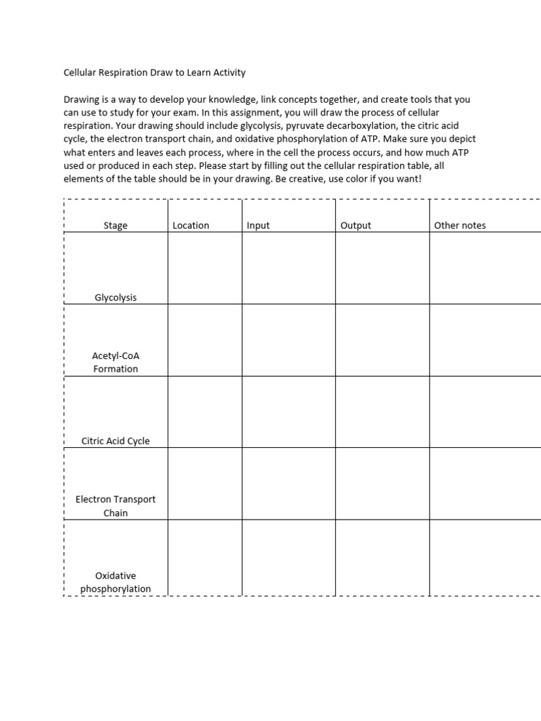 Week 5 Homework Cellular Respiration Draw To Learn Activity | PDF