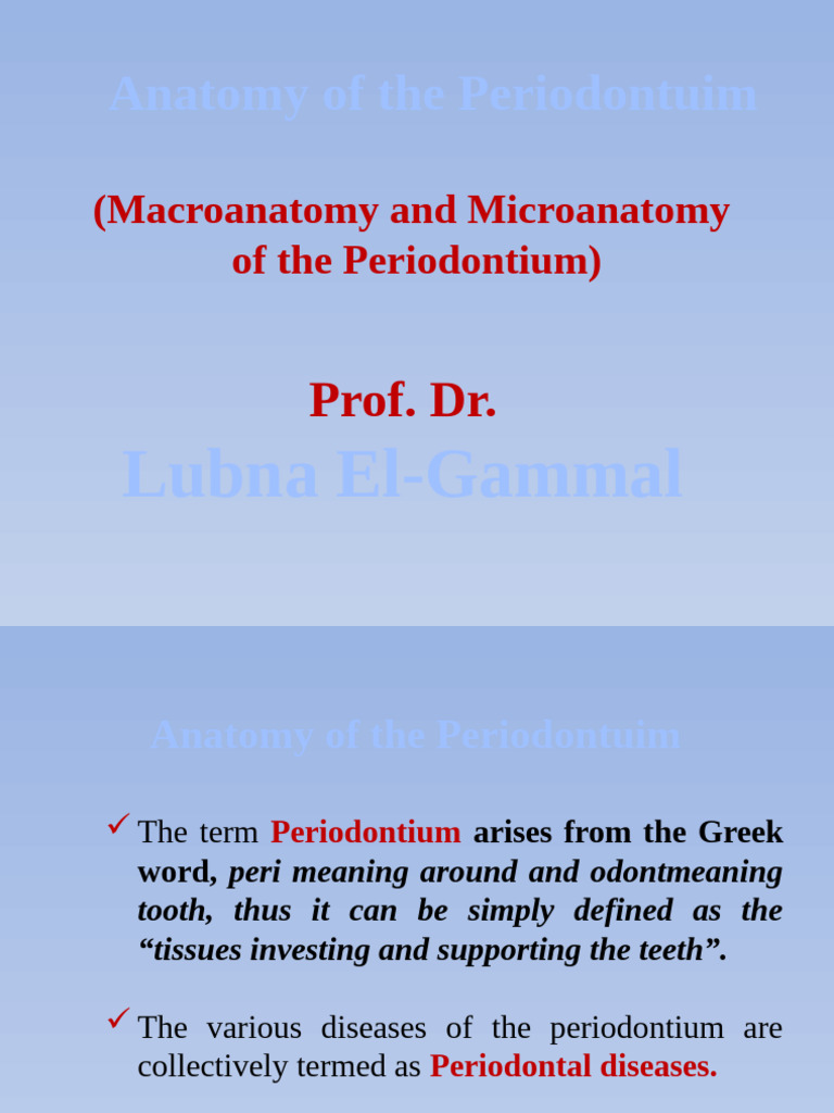 Anatomy of The Periodontuim | PDF | Periodontology | Human Tooth