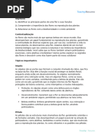 Raízes Adventícias: Exemplos e Funções | PDF | Raiz | Morfologia vegetal