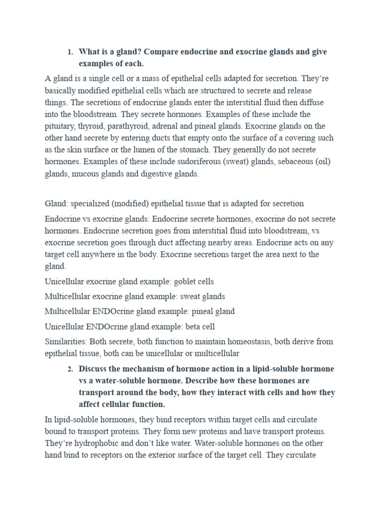 Worksheet 3 - Endocrine System | PDF | Endocrine System | Hormone