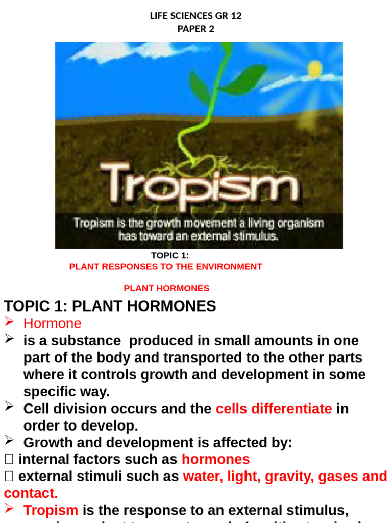 Grade 12 Plant Hormones Overview | PDF | Plant Hormone | Auxin