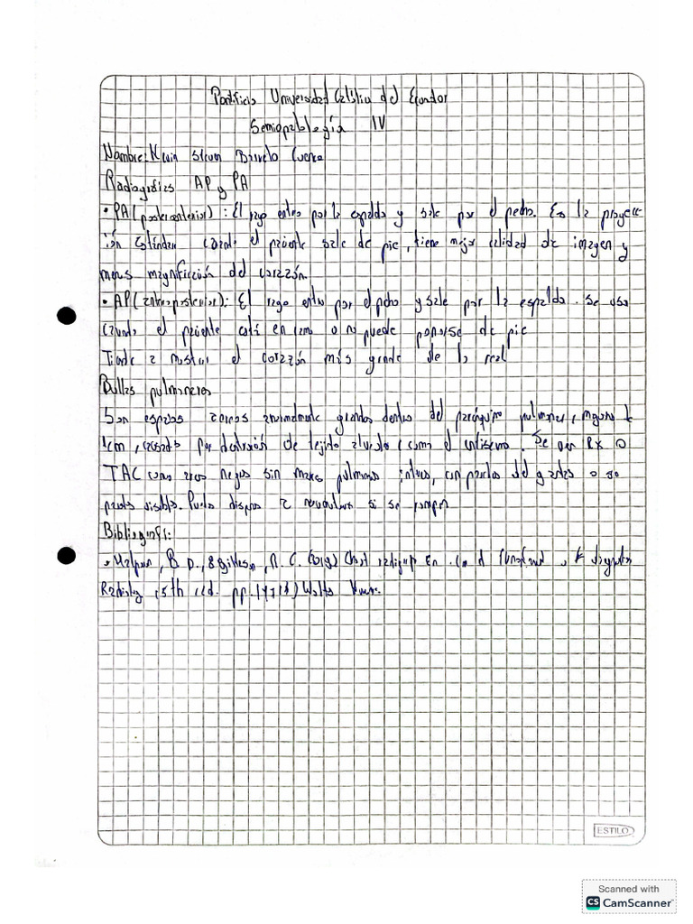 Consulta Semio | PDF