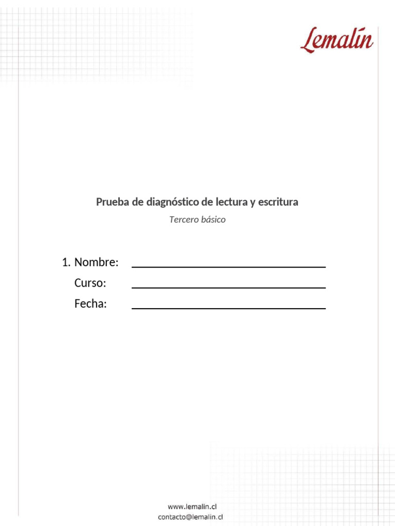 Lenguaje Prueba de Diagnostico | PDF | Peatonal | Ortografía