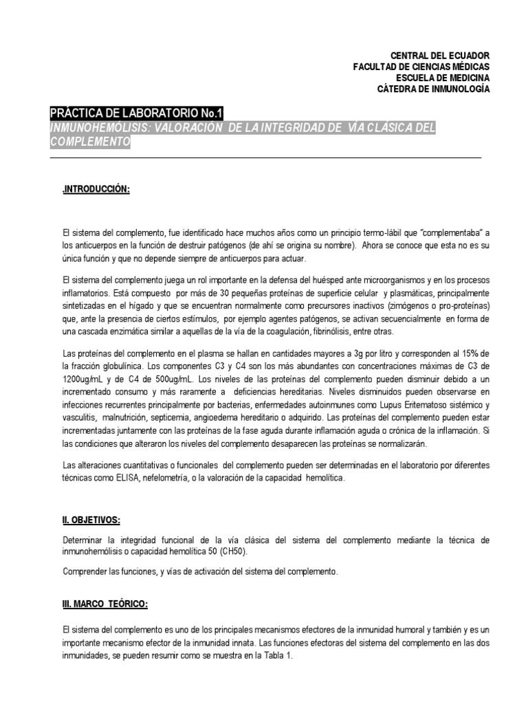 Guía Práctica De Complemento Septiembre 2011 Pdf Sistema