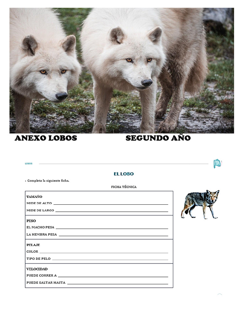 Anexo Lobos Segundo Año | PDF