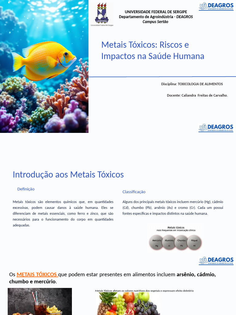 Riscos dos Metais Tóxicos à Saúde | PDF | Cádmio | Mercúrio (elemento)