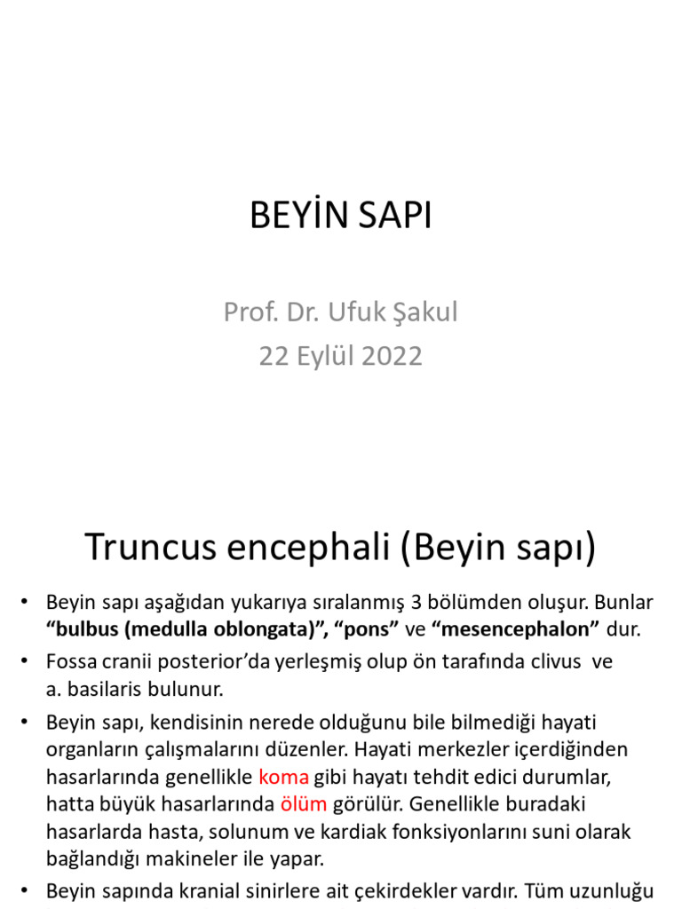 Beyin Sapı 1. Kurul 2022 Anatomi | PDF