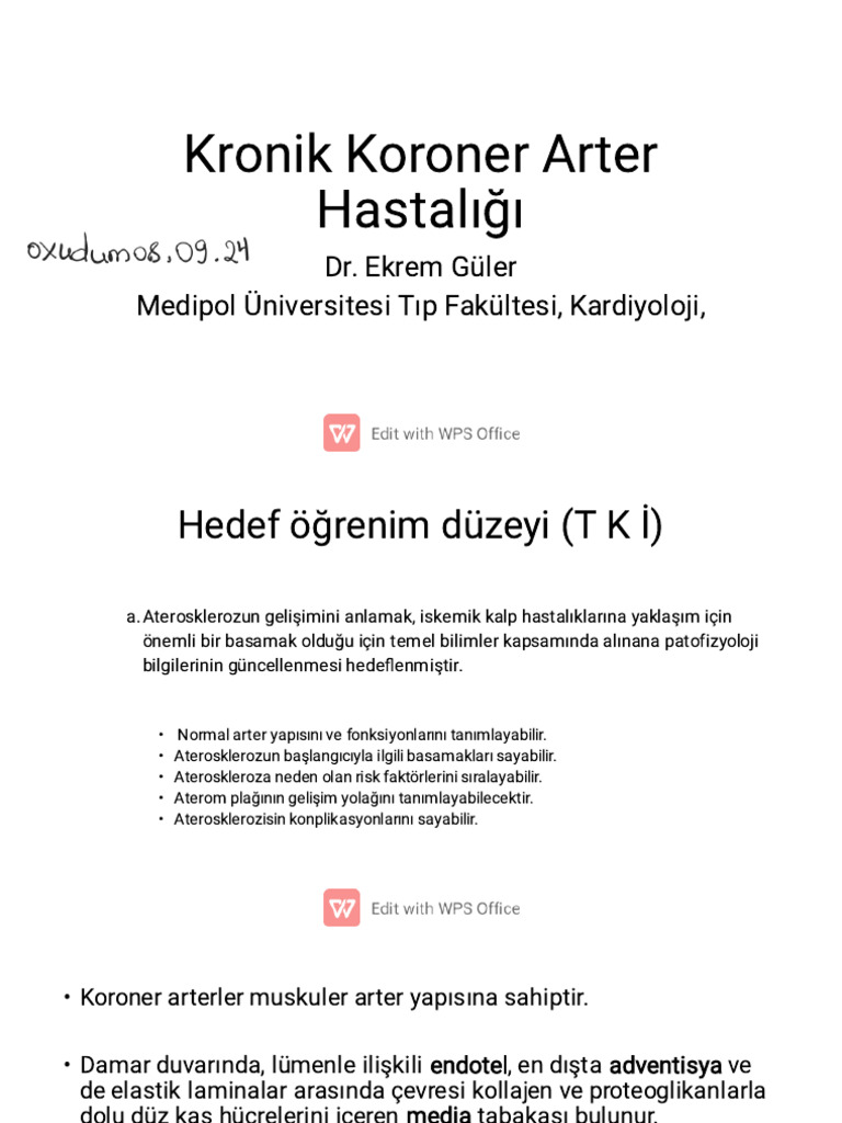Kronik Koroner Arter Hastalığı Kardiyoloji | PDF