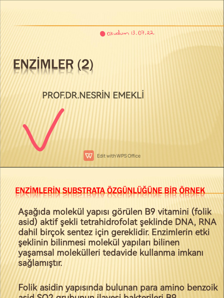 Enzimler 2023 Biyokimya | PDF