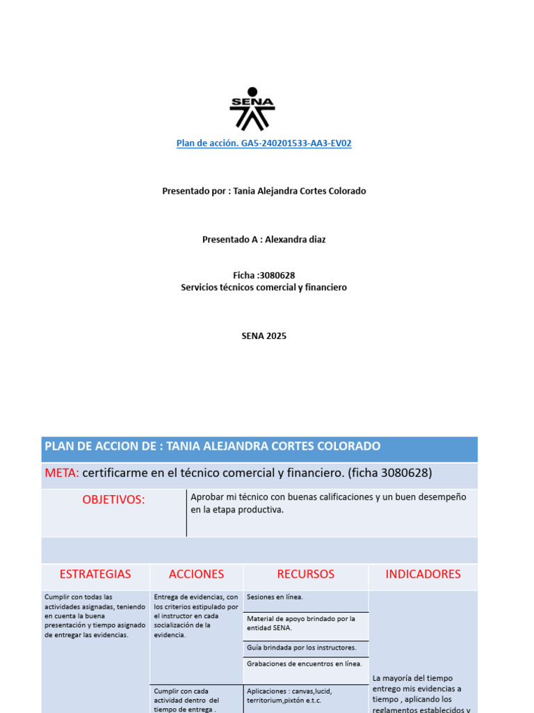 Plan de Accion Tania C | PDF