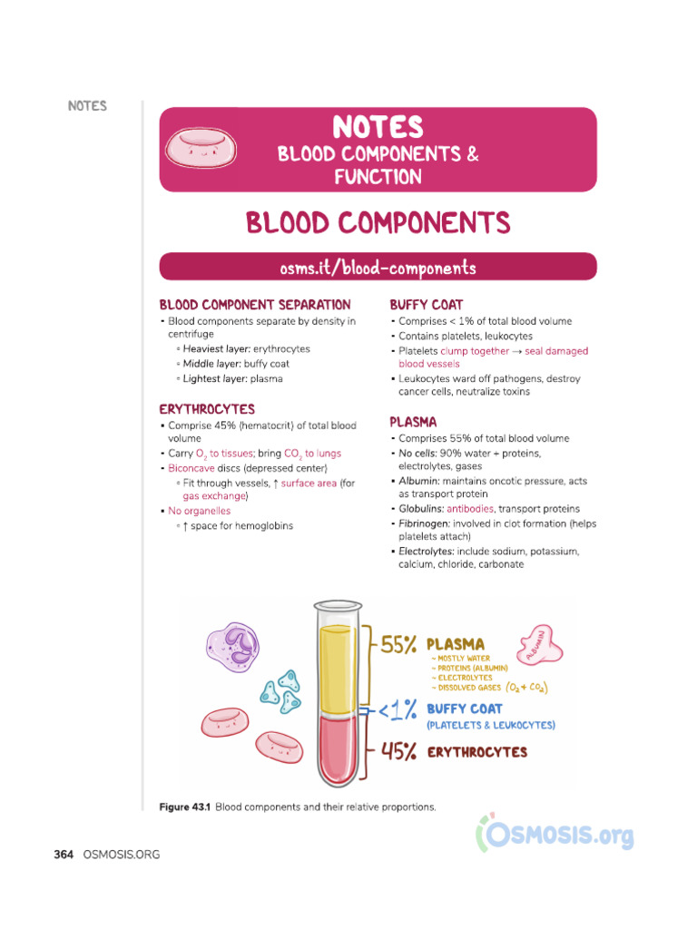 Primary and Secondary Hemostasis (Osmosis Notes 2025) | PDF