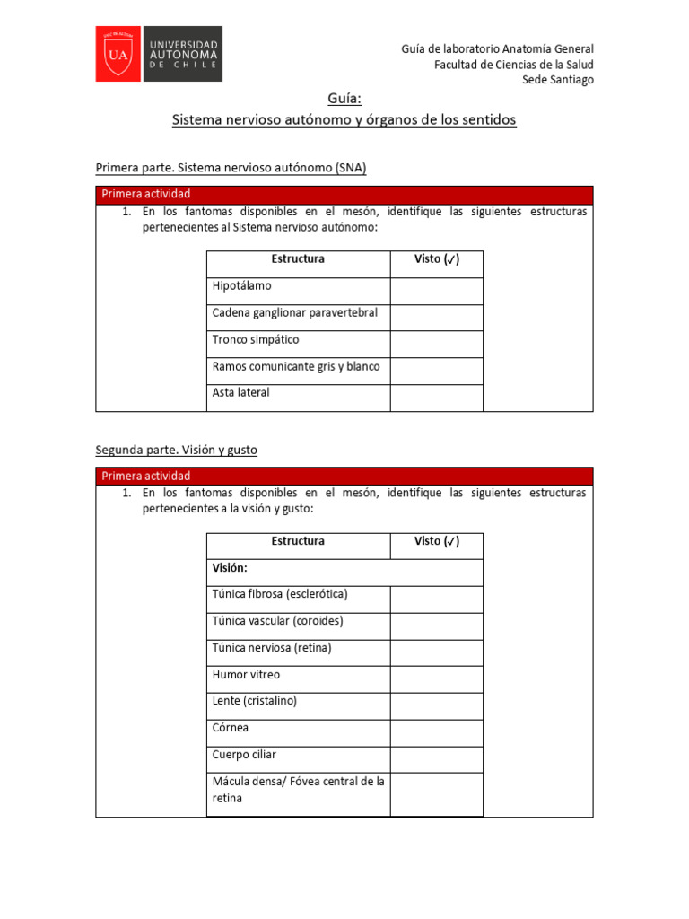 Guía 4. SNA y Sentidos | PDF | Oído | Percepción visual