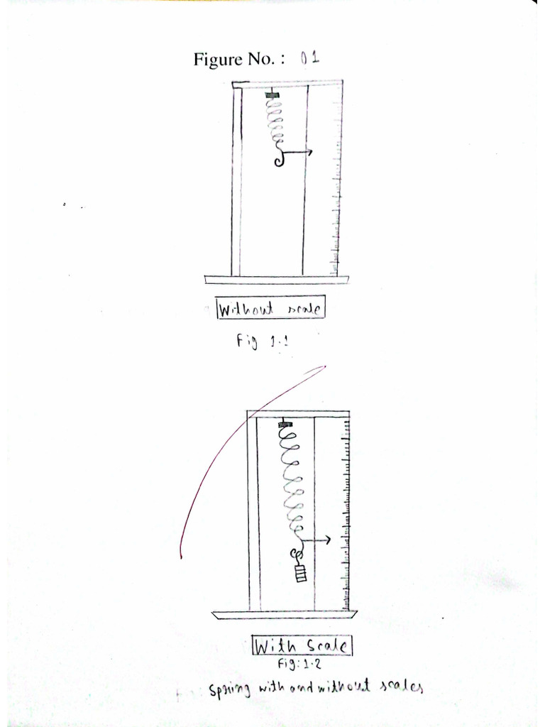 Physics 1st Year All 8 Practicals | PDF