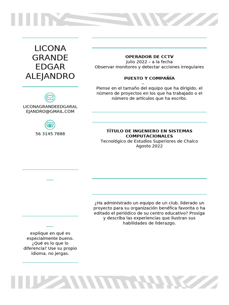 Habilidades y Experiencia de Monitorista | PDF