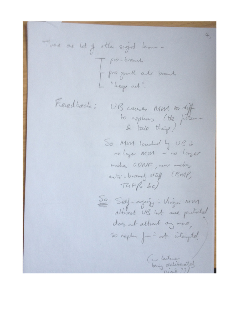 MIS Lecture Notes Chapter 3 | PDF