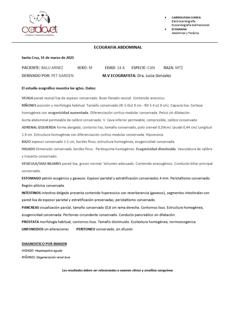 Balu Arnez ABD | PDF | Abdomen | Ultrasonido médico