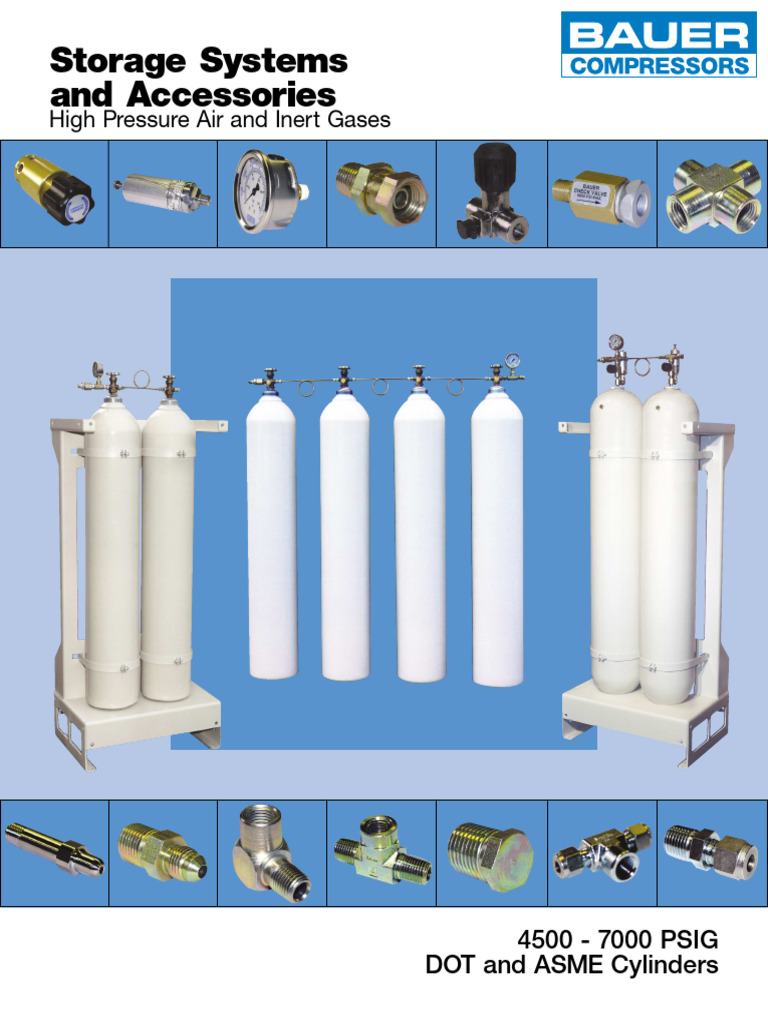 Bauer Piping & System Parts-Valves - Fittings - Whips Brochure | PDF ...