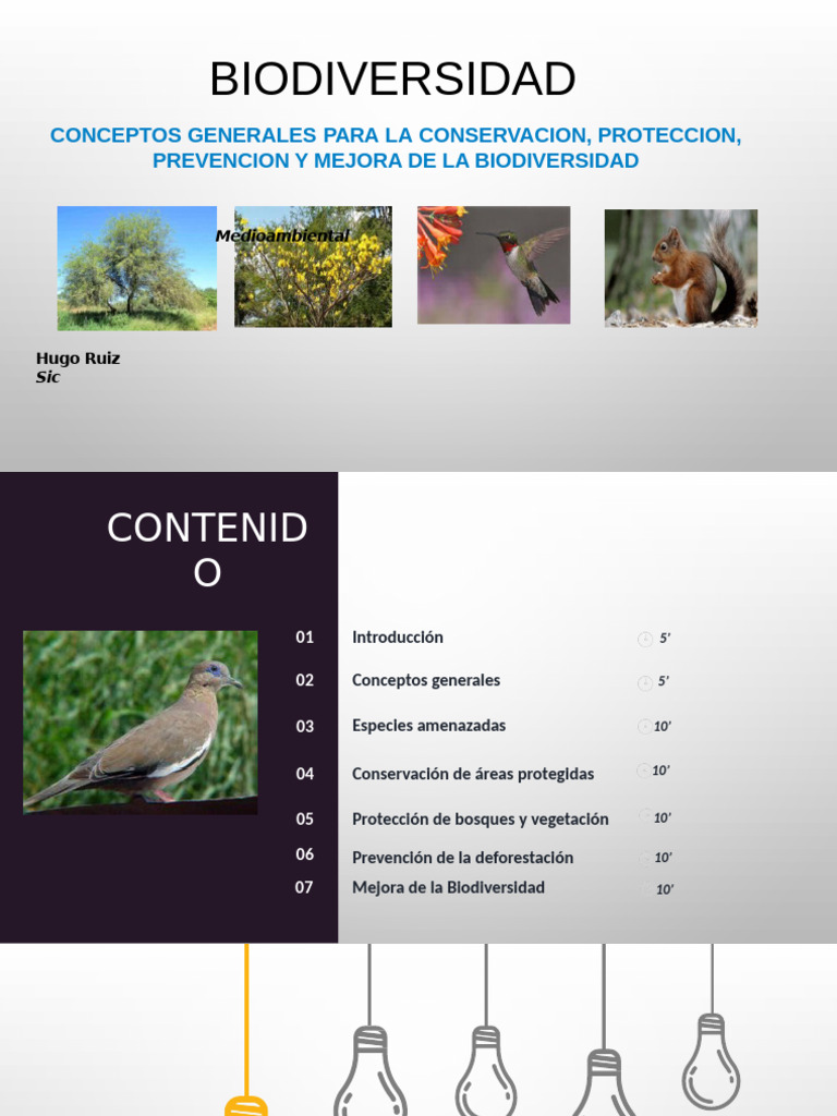 Bio Divers I Dad | PDF | Deforestación | Biodiversidad