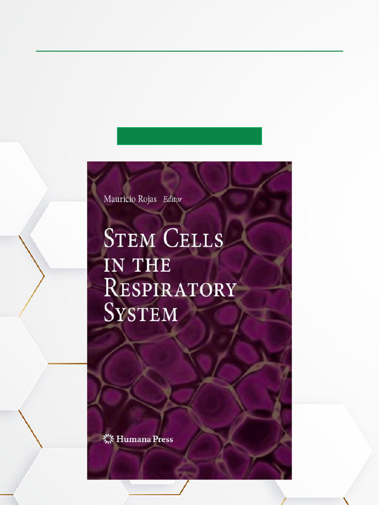 Stem Cells in The Respiratory System - 1st Edition Entire Book Download ...