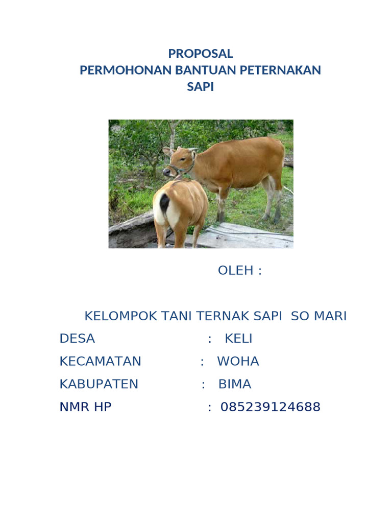 Proposal Ternak Sapi Daessa Keli | PDF
