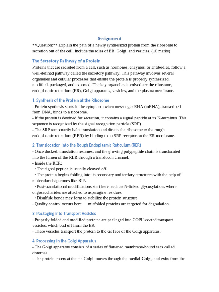 Secreted Protein Pathway Full Marks Assignment | PDF | Endoplasmic Reticulum | Secretion