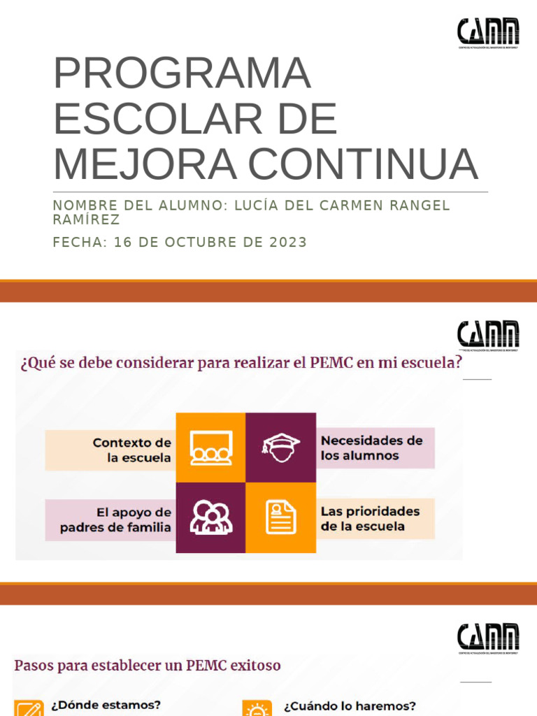 PEMC | PDF