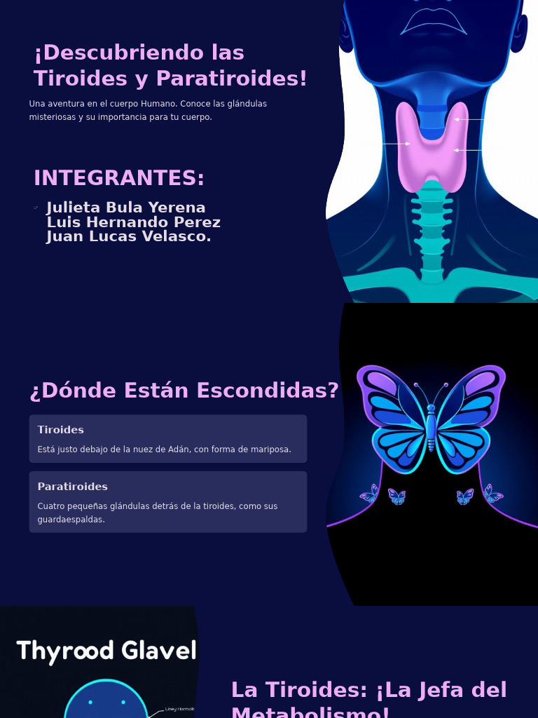 Descubriendo Las Tiroides y Paratiroides | PDF
