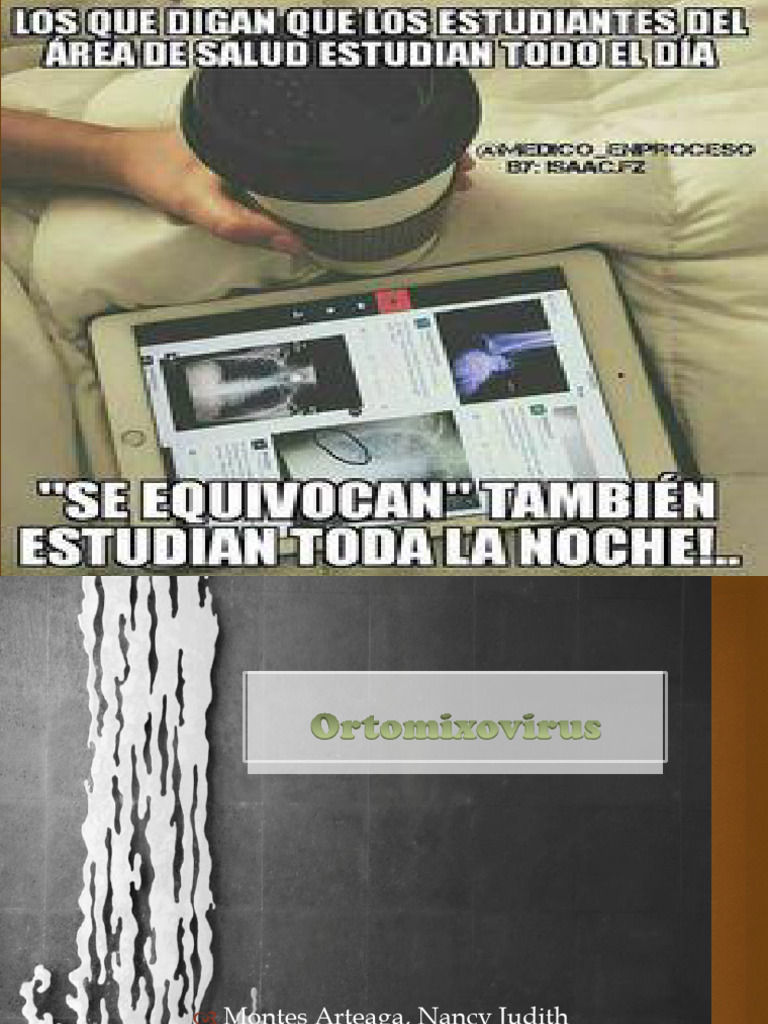 Paramixos Al Taque | PDF | Virus | Influenza