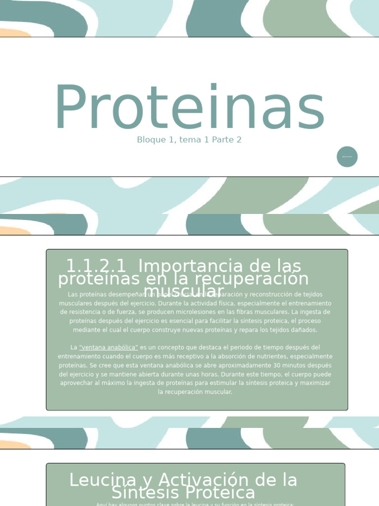 Proteinas 2 | PDF | Proteínas | Veganismo