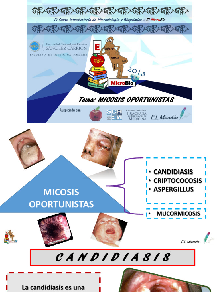 Candidiasis y Su Caracteristicas | PDF | Microorganismo | Candidiasis