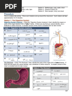 Digestive System Labeling Worksheet | PDF | Wellness | Science ...