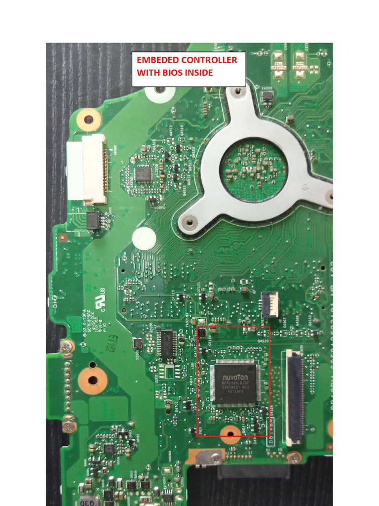 Ec and Bios | PDF