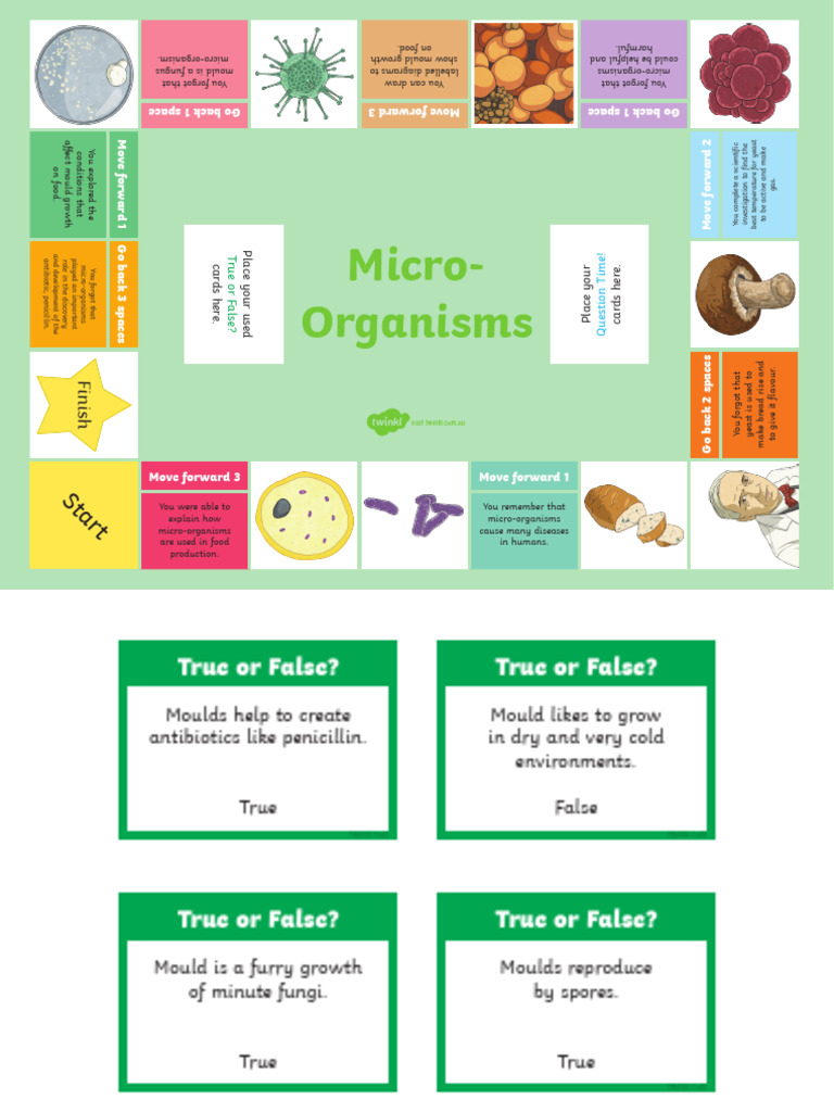 Au t2 S 1584 Microorganisms Board Game English Ver 3 | PDF | Mold ...