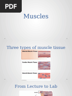 Kinesiology Flashcards, 3E - Lippert, Lynn S., Minor, Mary Alice ...