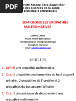 Syndrome de la Jonction Pyelo-Uréterale | PDF | Rein | Spécialités ...