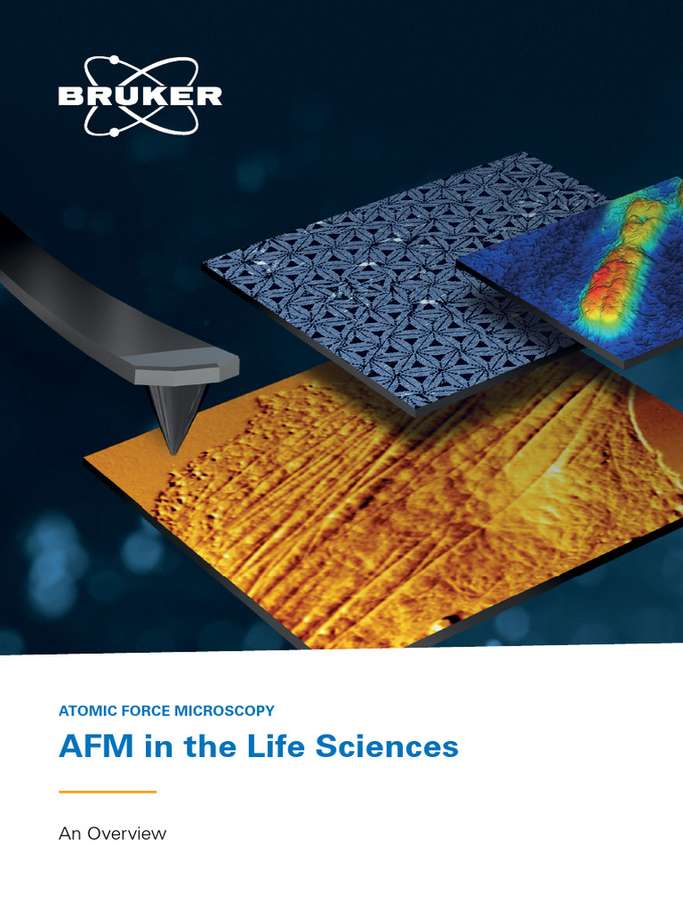 Atomic Force Microscopy For Life Sciences E Book 2024 BRUKER | PDF | Atomic Force Microscopy ...