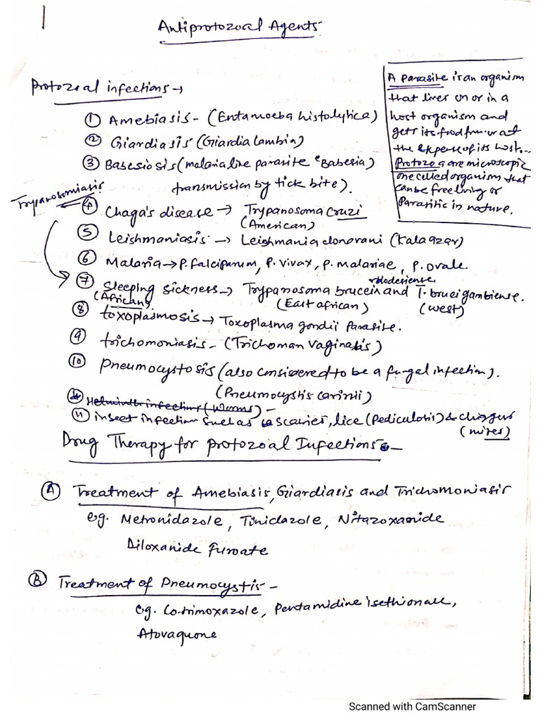 Antiprotozoal Agents | PDF