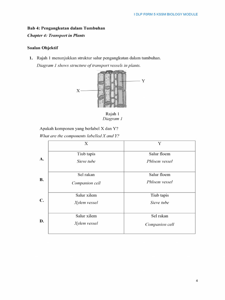 Form 5 Chapter 4 Biology | PDF | Tissue (Biology) | Root