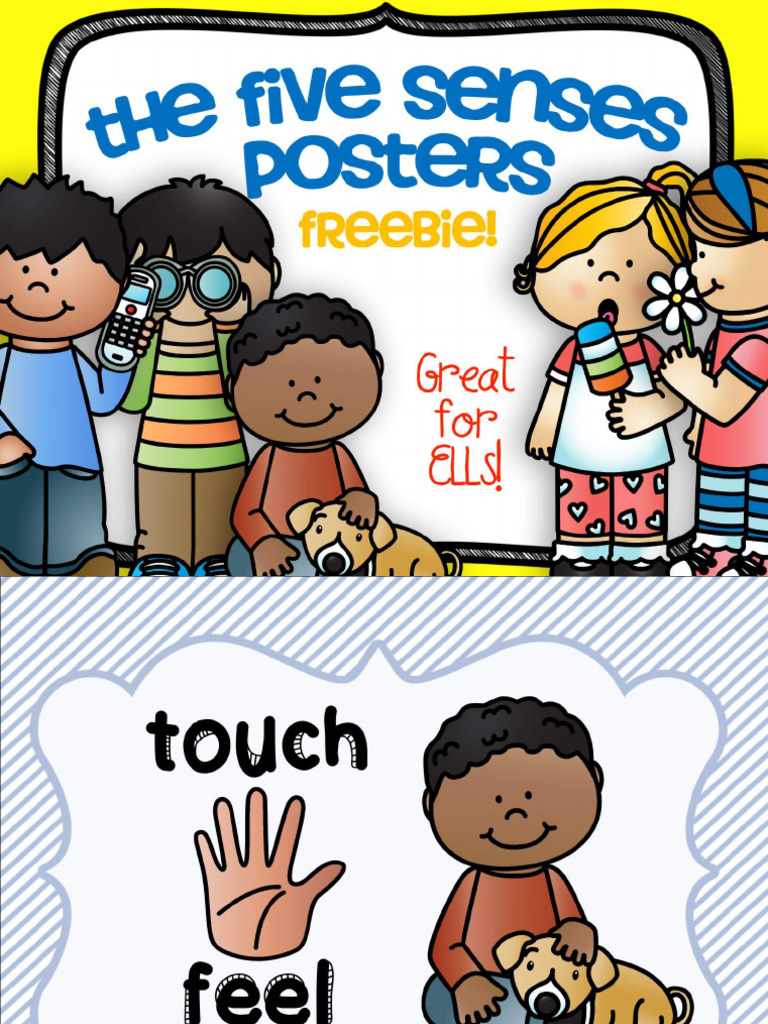 My Five Senses Poster | PDF
