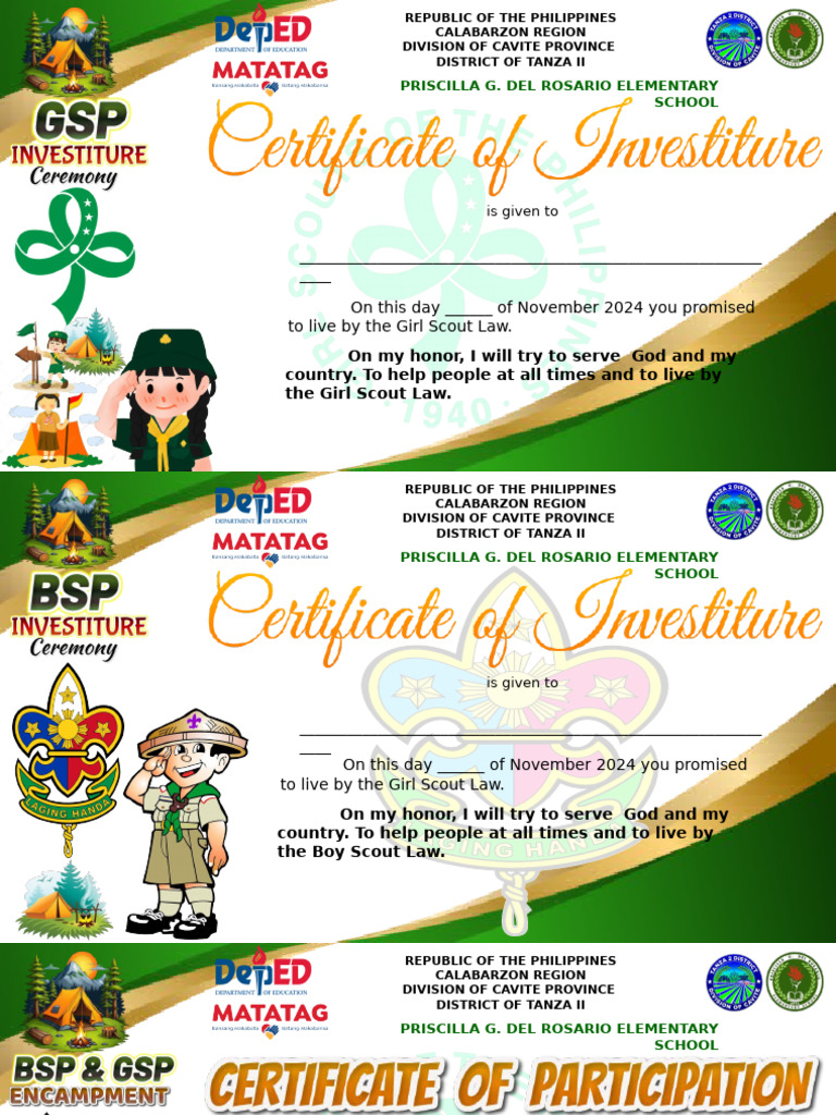 GSP and BSP CERTIFICATE | PDF | Girl Guiding And Girl Scouting | Scouting
