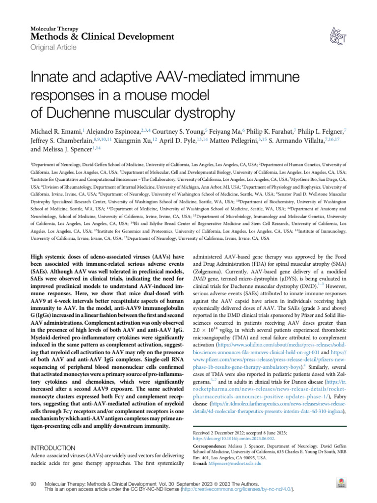 2023-Innate and Adaptive AAV-mediated Immune Responses in A Mouse Model ...